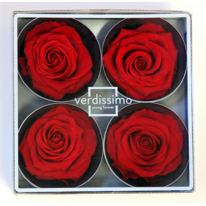 Rose éternelle • Fleurs et Création